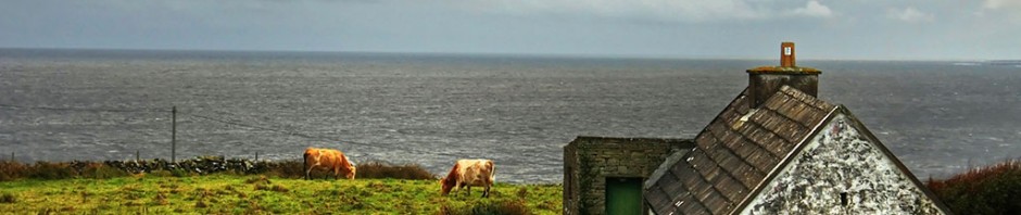 The Quirks of Emerald Isle property – Business Destinations – Make ...